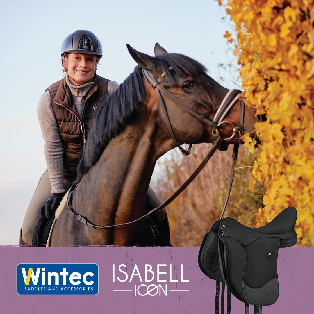 Wintec Isabell Icon – Wintec Saddles