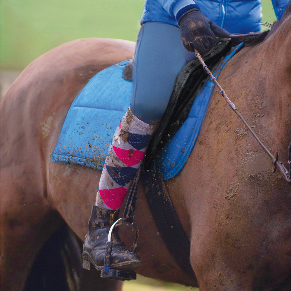 Weatherproof saddles and accessories – Wintec Saddles